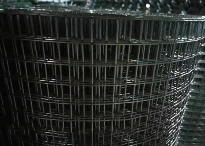 1/2" X 1" Pvc Coated Welded Wire Mesh Bird Cages 3" X 100"