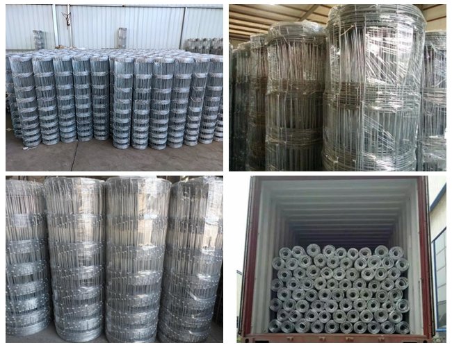 1.5m X 50m Outdoor Hinge Joint Farm Fencing Wire Mesh Steel Cattle ...