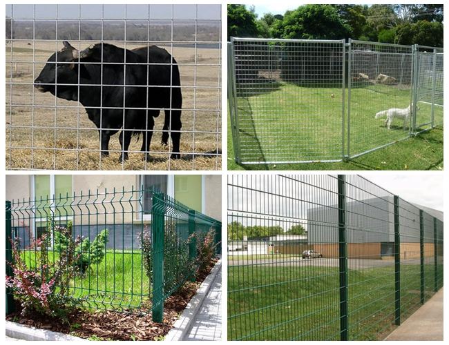 3 X 3in Cattle Welded Wire Mesh Panels 4FT Galvanised Wire Mesh Sheet