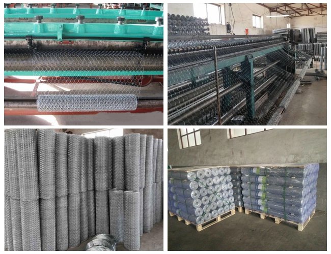 3/4" Chicken Wire Mesh Roll Galvanized 6 Ft Hexagonal Netting