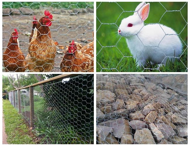 3/4" Chicken Wire Mesh Roll Galvanized 6 Ft Hexagonal Netting